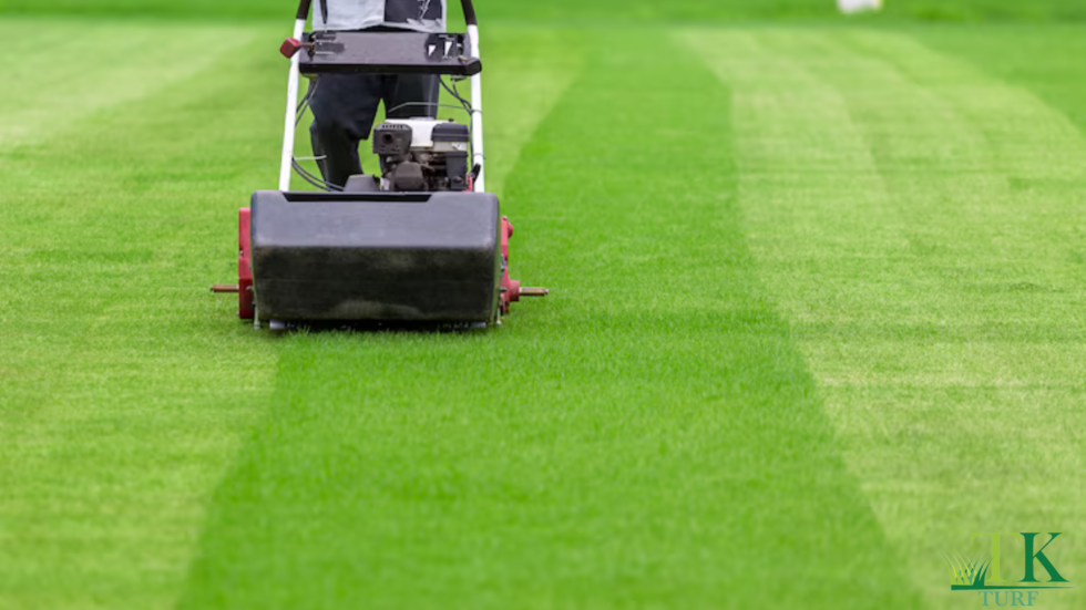 Everything You Need to Know About Astro Turf for Landscaping